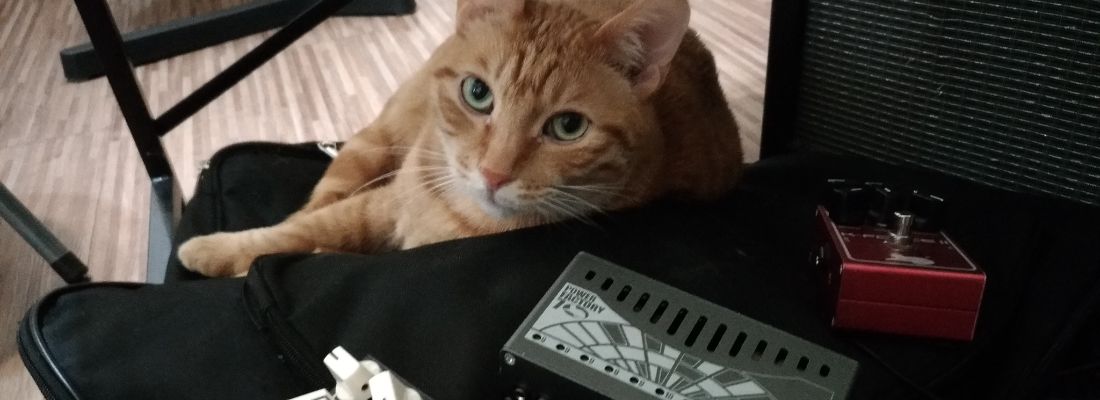 CatForce Musical/Sloan Elec.