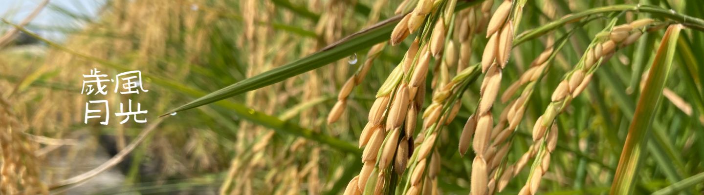 歲月風光 宜蘭友善稻米