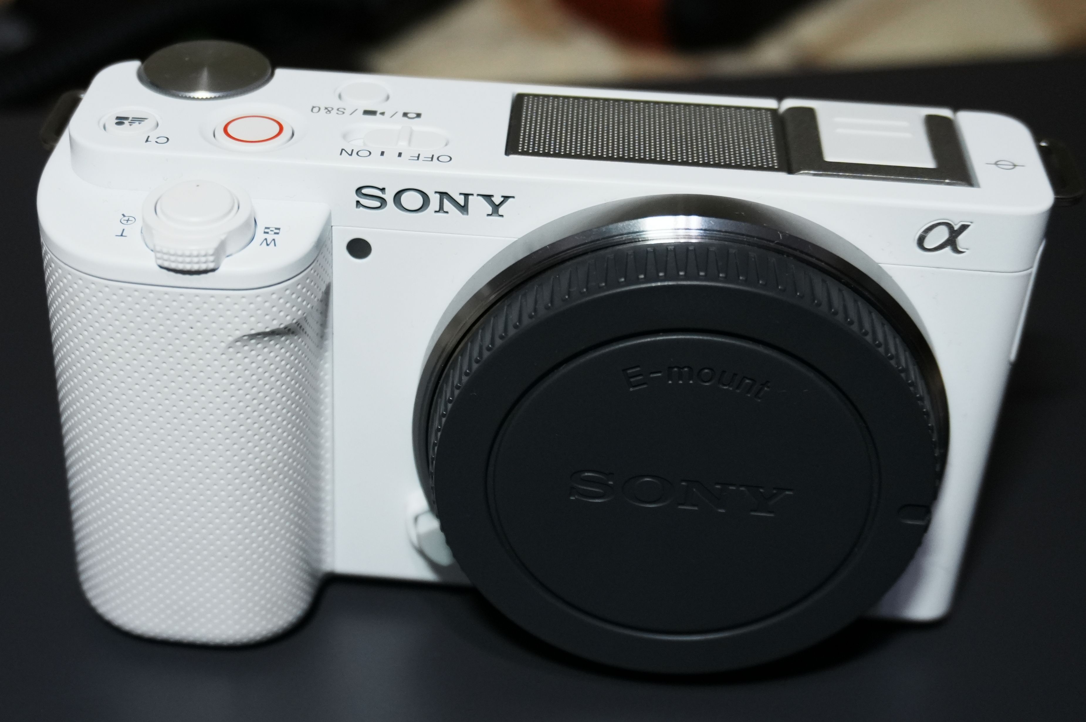 Sony EV-E10機身 + 18-105mm SELP18105G鏡頭